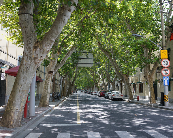 The French Concession – Retail Store Tours
